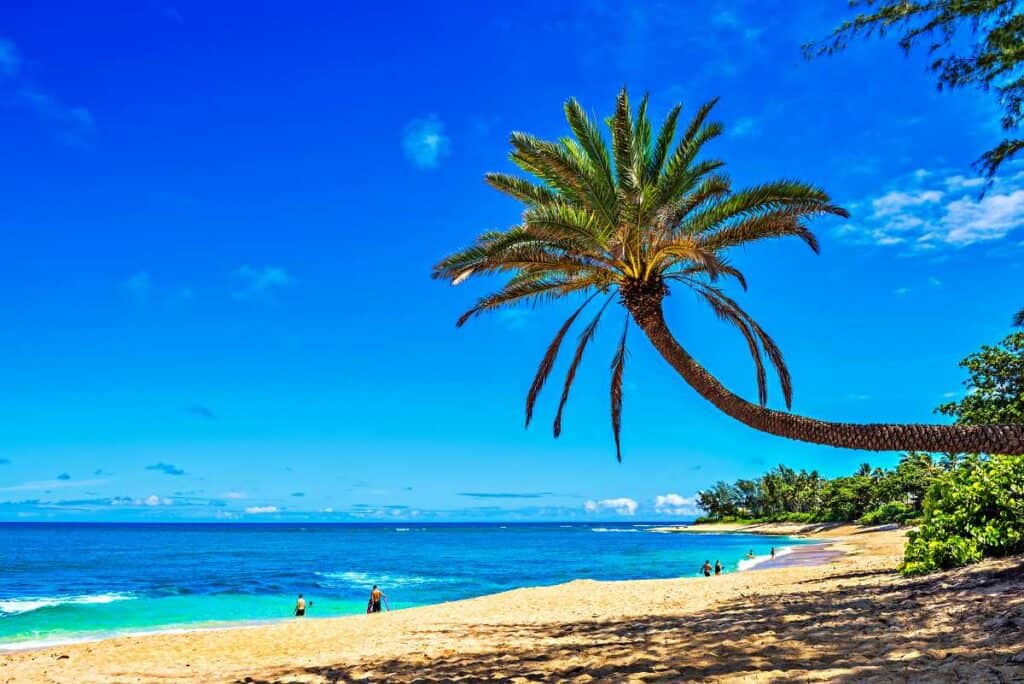 Sunset Beach Park, Oahu, HI: Complete 2026 Visitor Guide