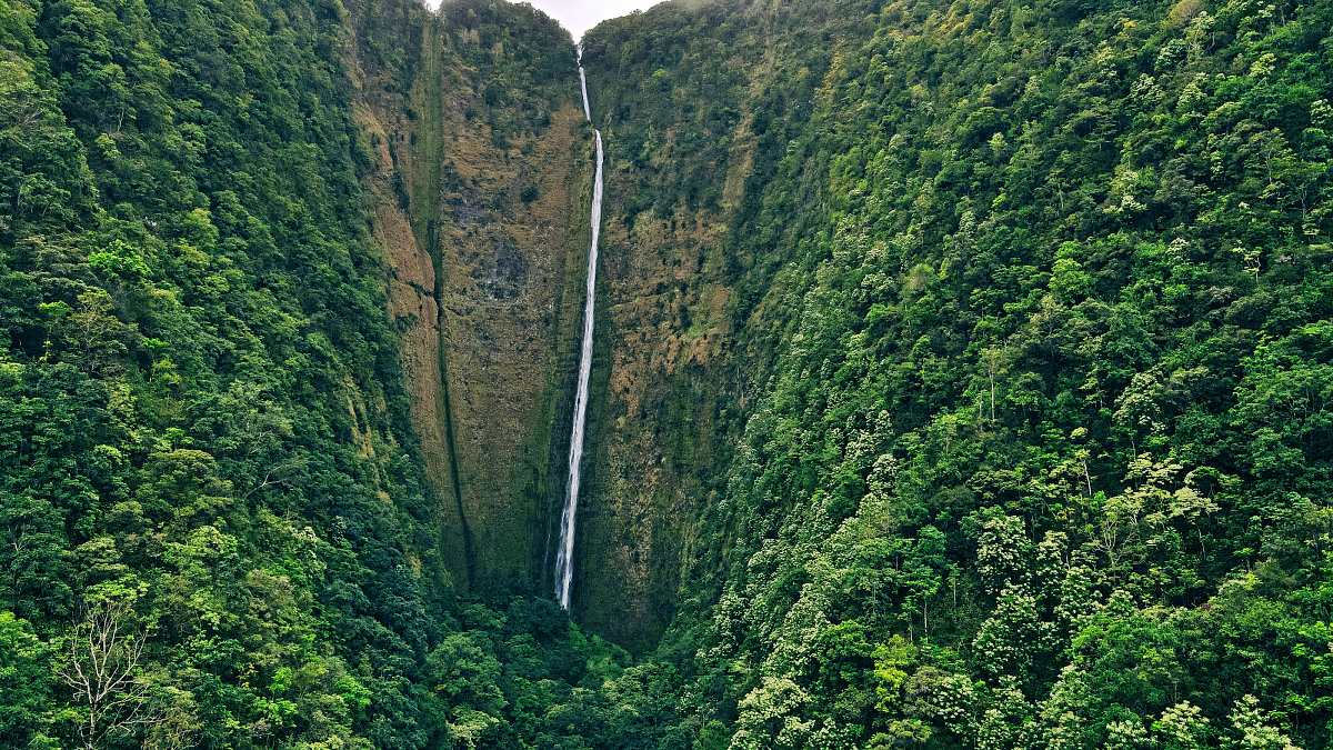7 Best Big Island Waterfalls You Must Visit (+ Map)